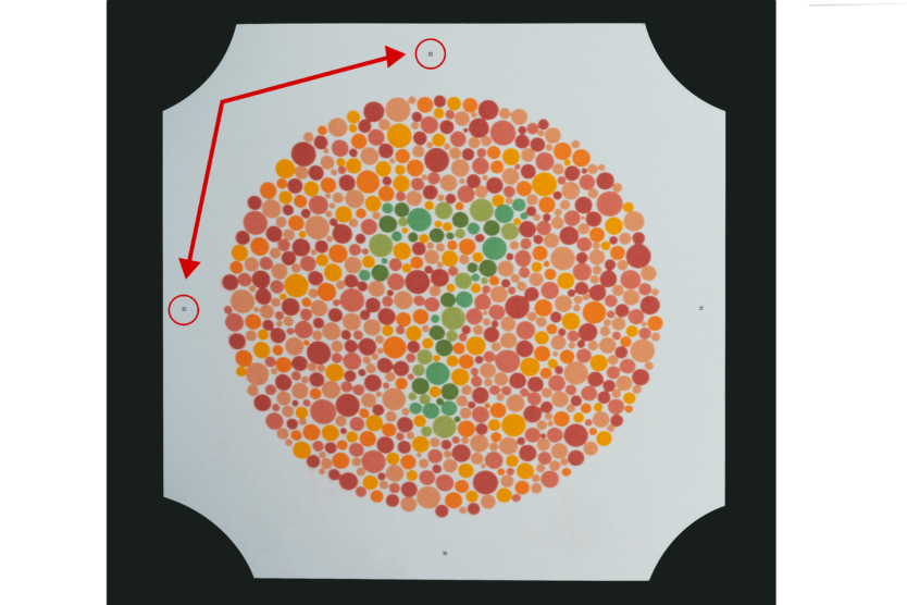 Ishihara Plate Color Test - Color Vision Tests - Precision Vision