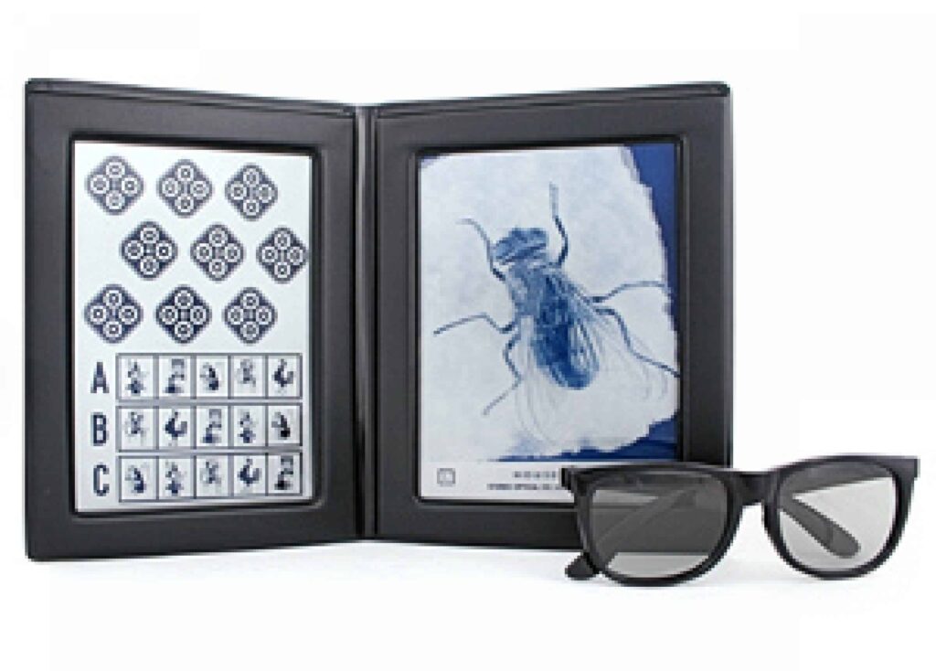 Stereo Fly Test Vision Testing Aids Precision Vision