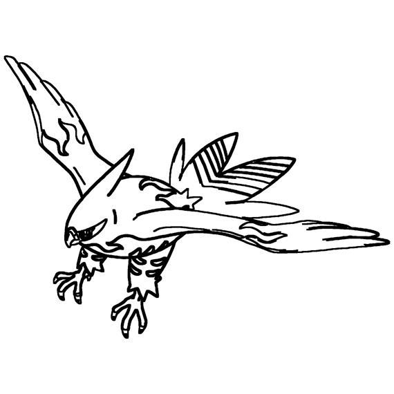 Talonflame Coloring Page - Print IdeaShortcut