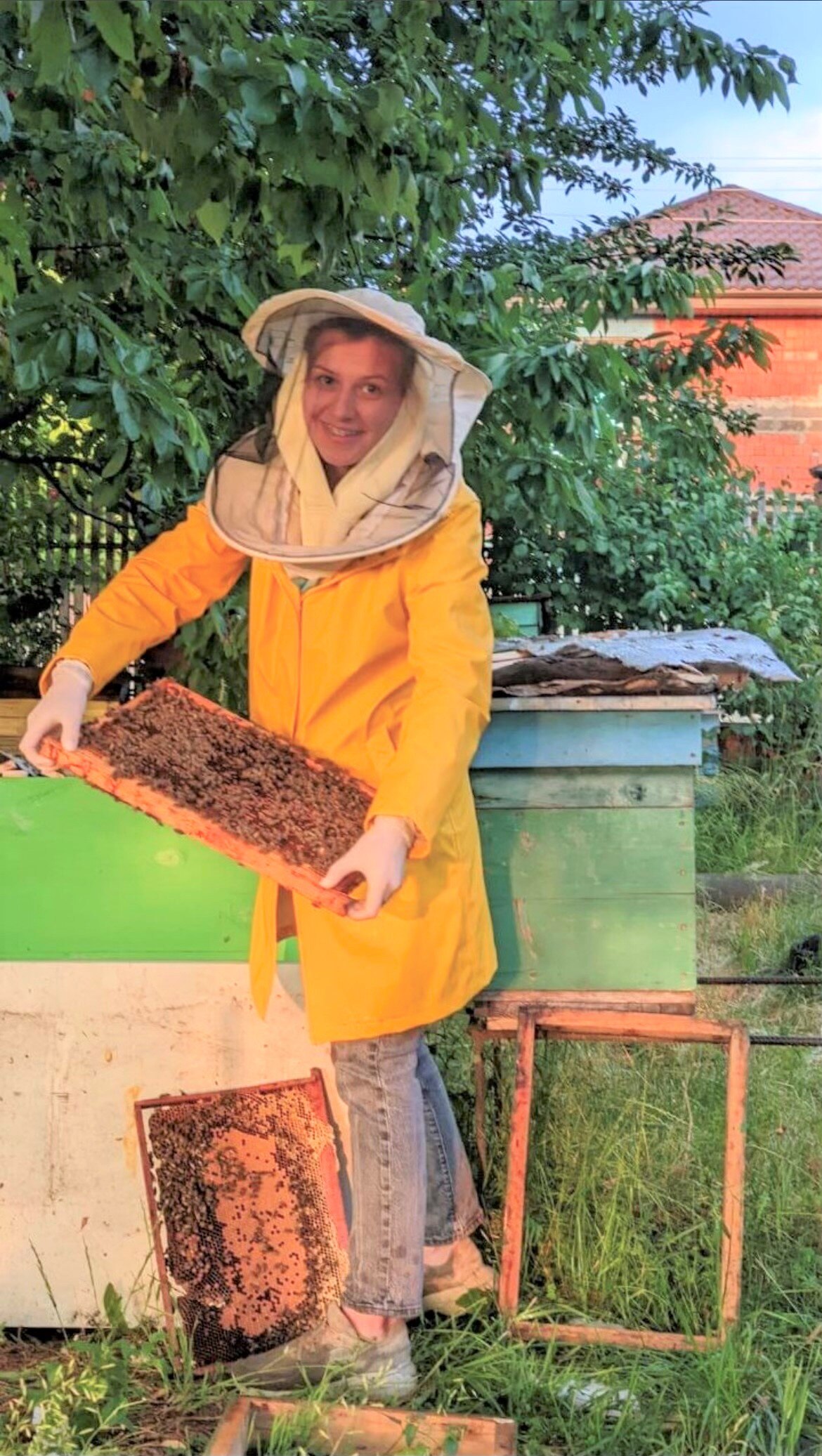 Tassie Beekeepers Set World Record With Online Buzz - Pulse Tasmania