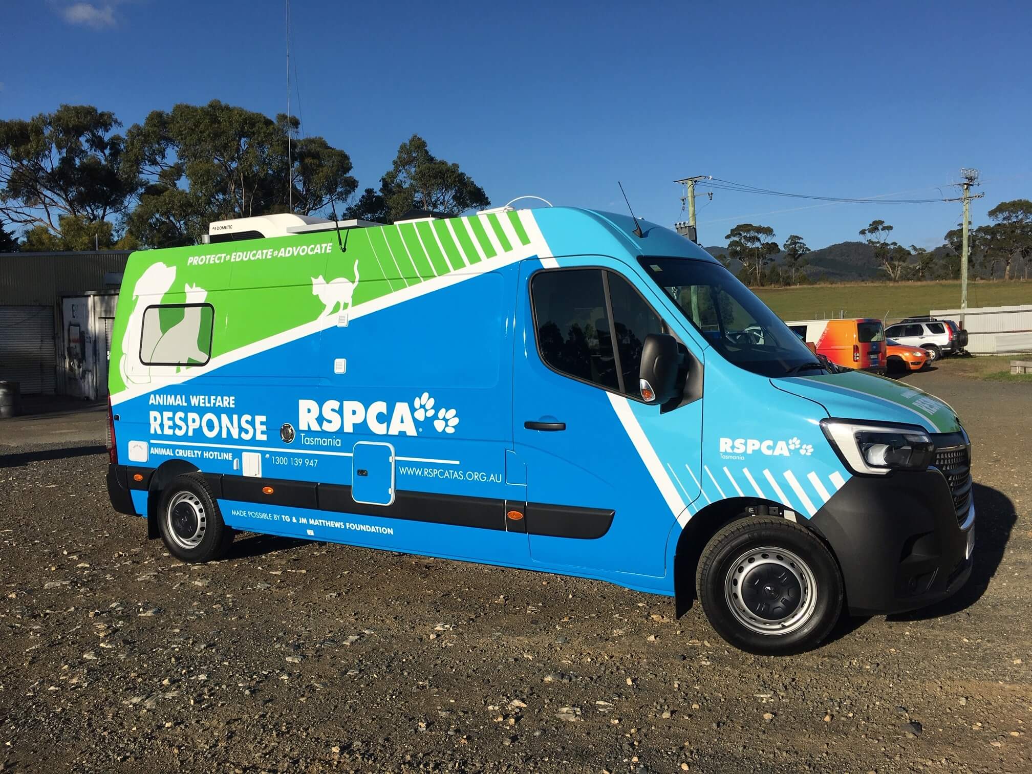 1,600 Animals Find Forever Homes In Tasmania - Pulse Tasmania