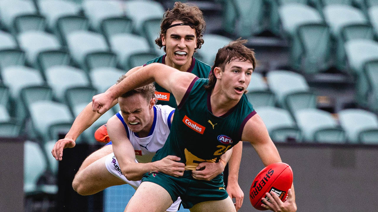 Warner Bros give green light for Tasmanian Devils AFL team - Pulse Tasmania