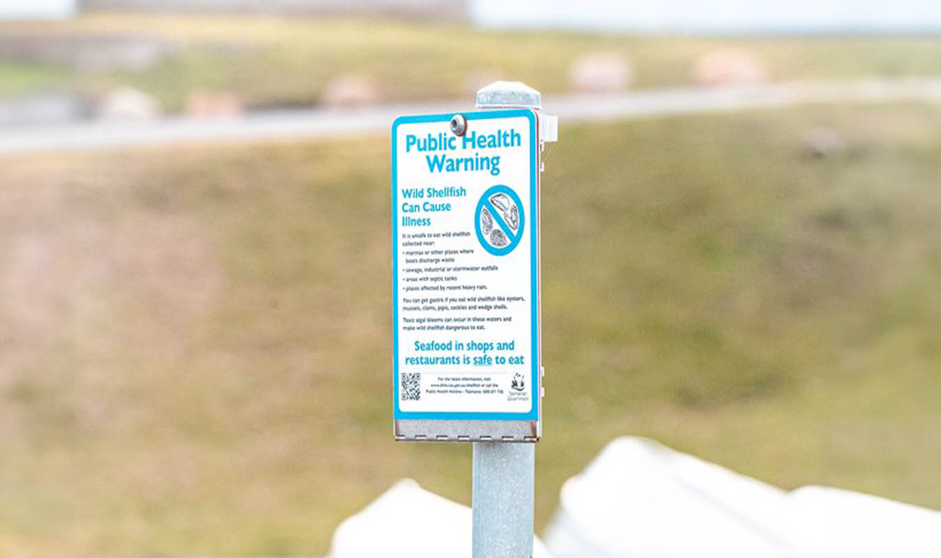 Toxic Tasmanian shellfish warning lifted ahead of season closure ...