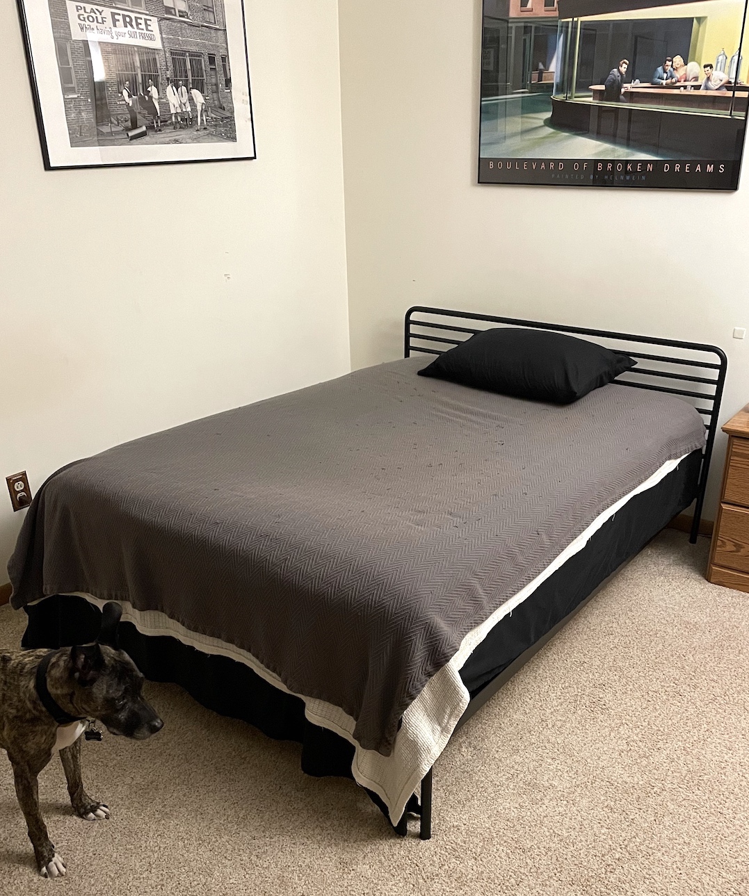 Zinus Tom (Sonnet) Metal Platform Bed Frame Mattress Foundation – REAL ...