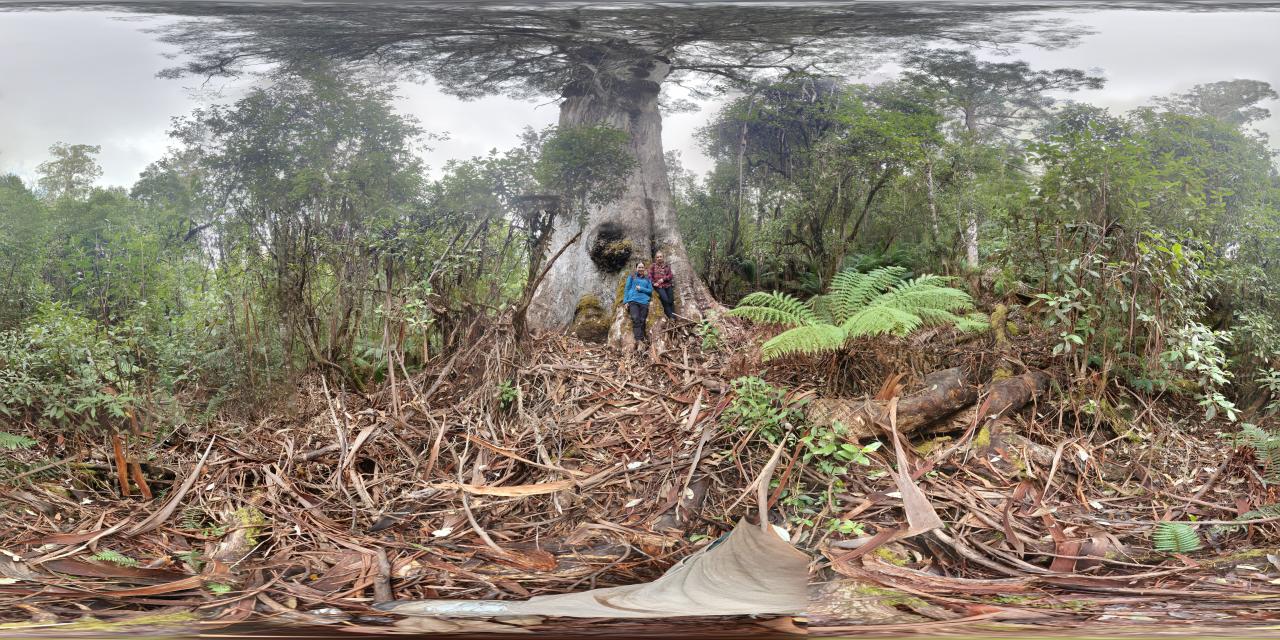 At Lathamus Keep | Tasmanian Geographic