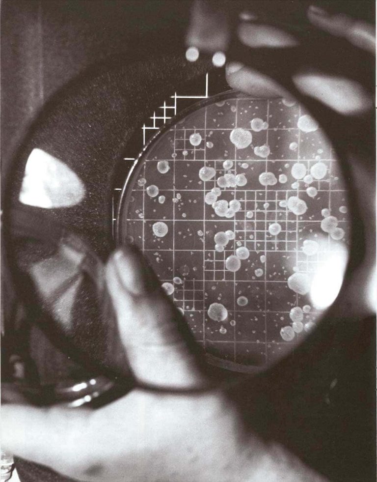 Boeing Magazine Feb 1955 - Jeremy Dwyer-Lindgren - The Airchive 2.0