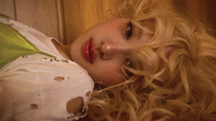 The Daily Fandom • For Fans, By Fans.