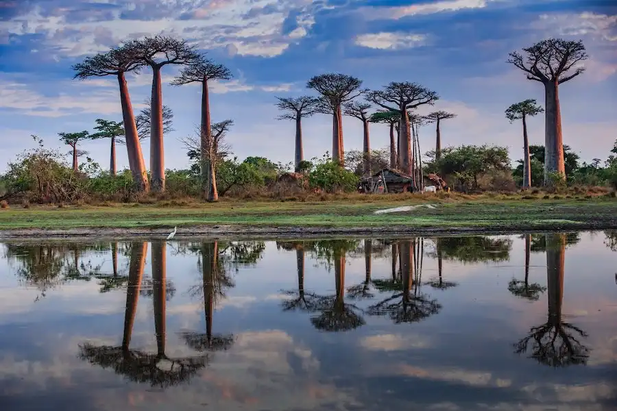 Madagascar: Unveiling the Island of Natural Wonders - Where to go next