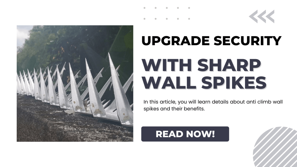 Upgrade Security With Sharp Wall Spikes
