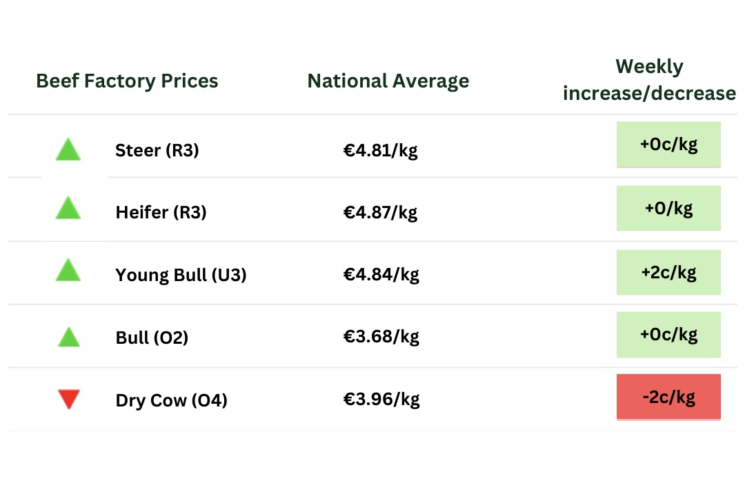 Conventional Beef Factory Prices: Prices remain stable - HerdFinder.ie