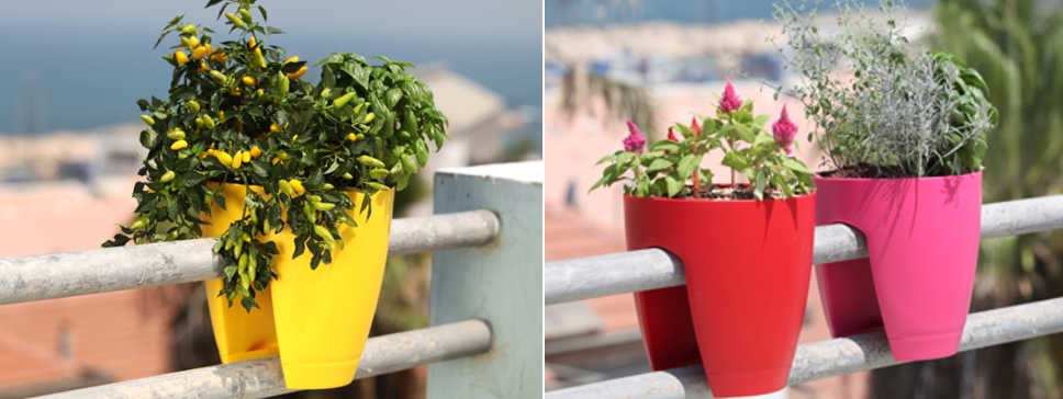 New Ways to Enhance Your Urban Stoep With Balcony Planters - SA Decor ...
