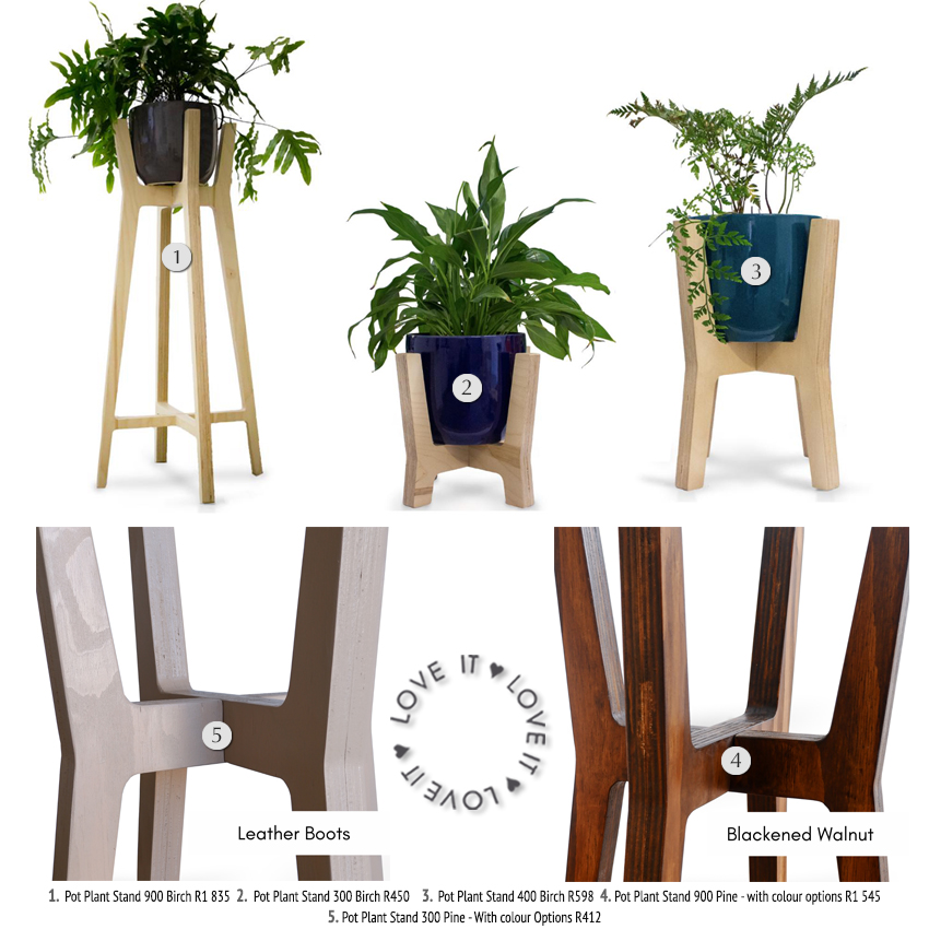 Go Green With Trendy Minima Pot Plants - SA Decor & Design