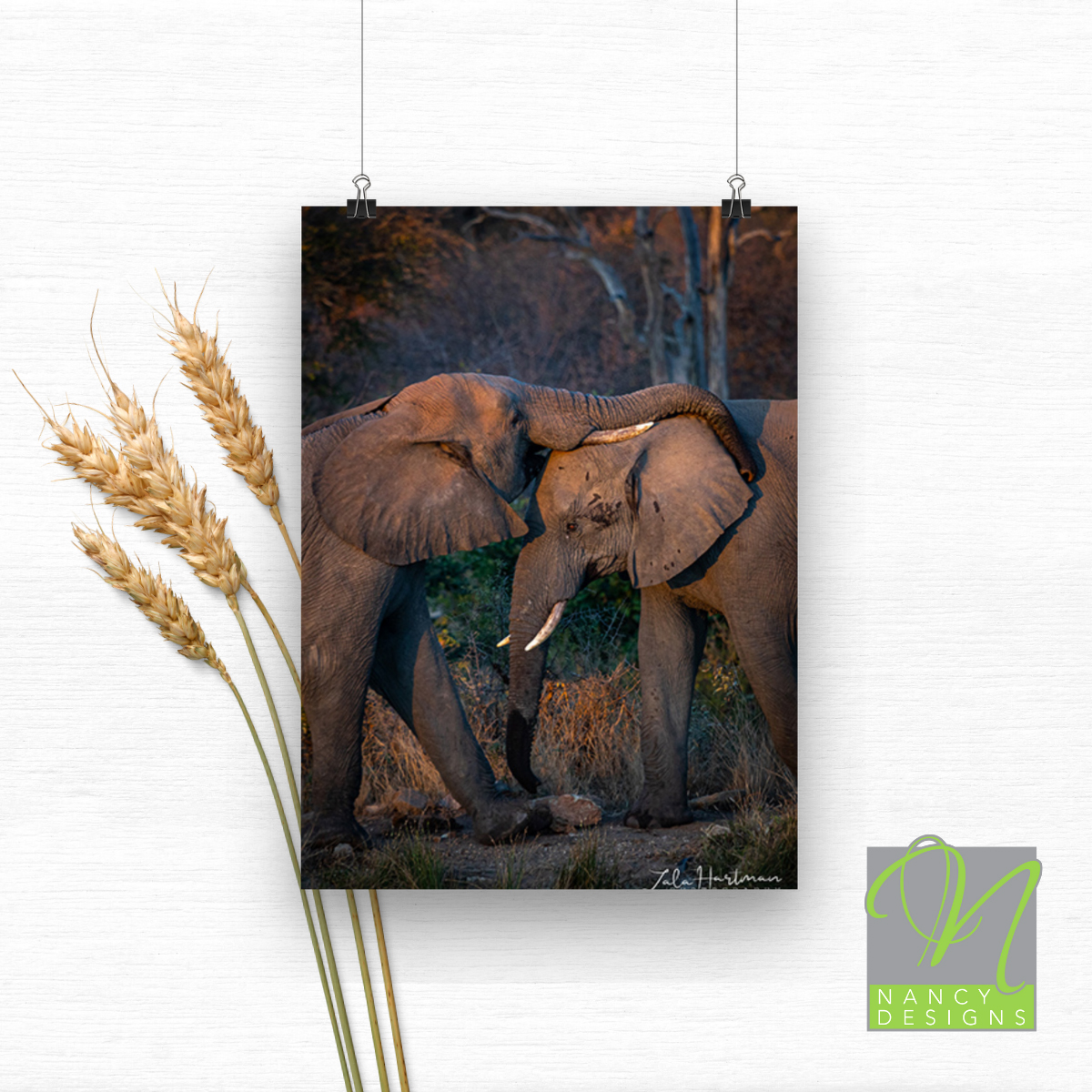 Spotlight: Out of Africa with Nancy Designs - SA Decor & Design