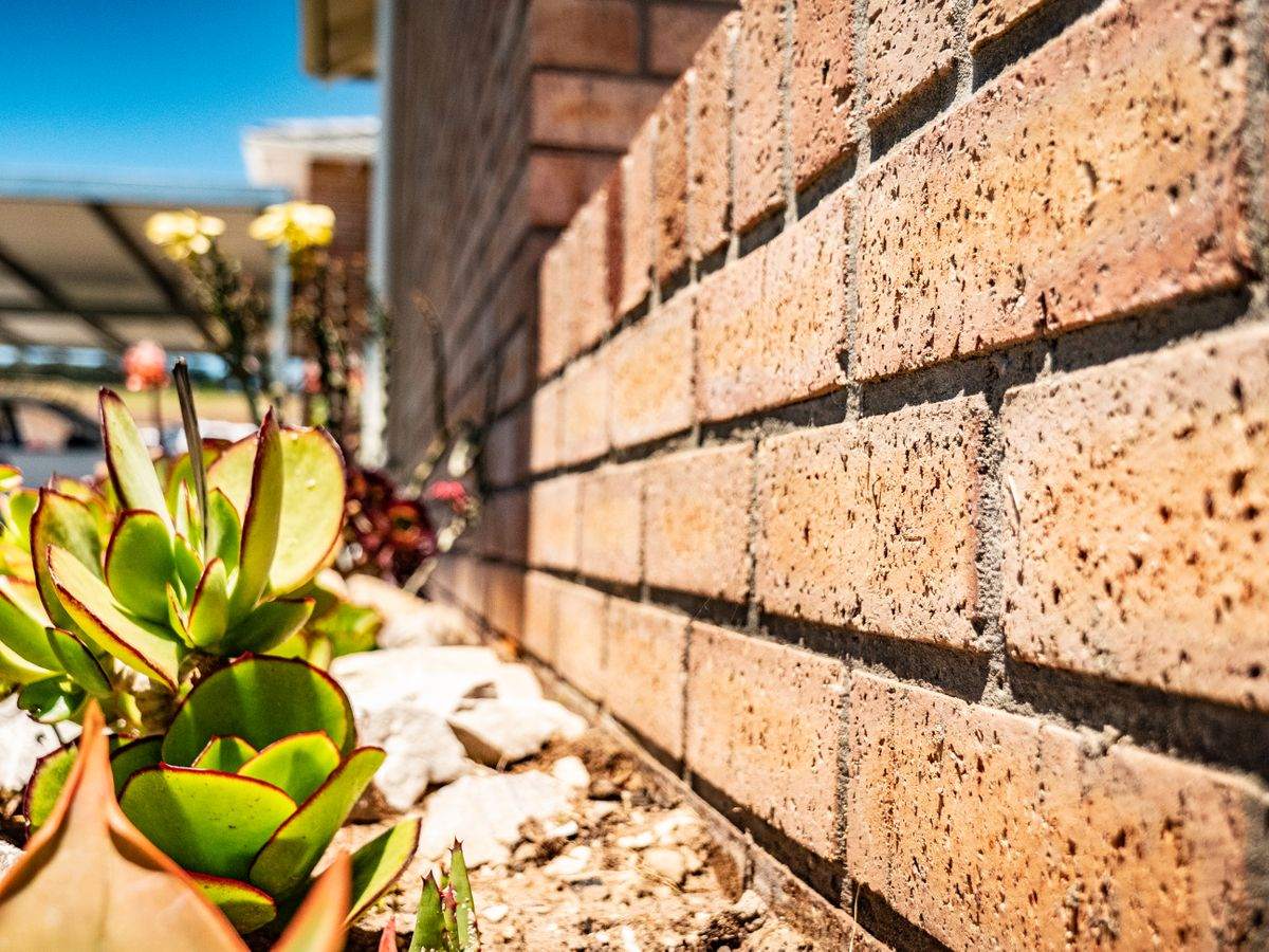 Makana Brick: Your Guide To Cleaning Bricks - SA Decor & Design