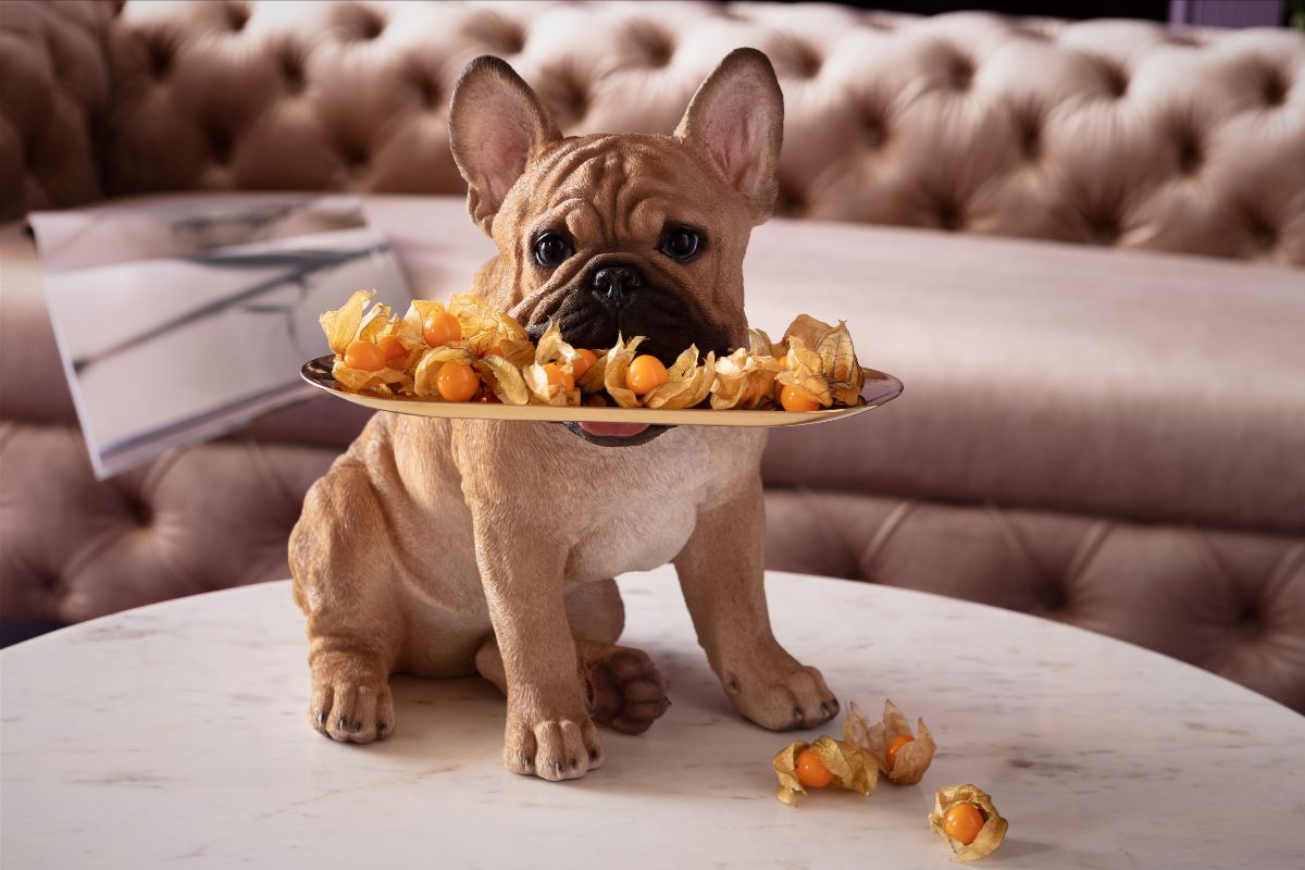 Kare Design: Why You Should Hire A Butler As Soon As Possible - SA ...