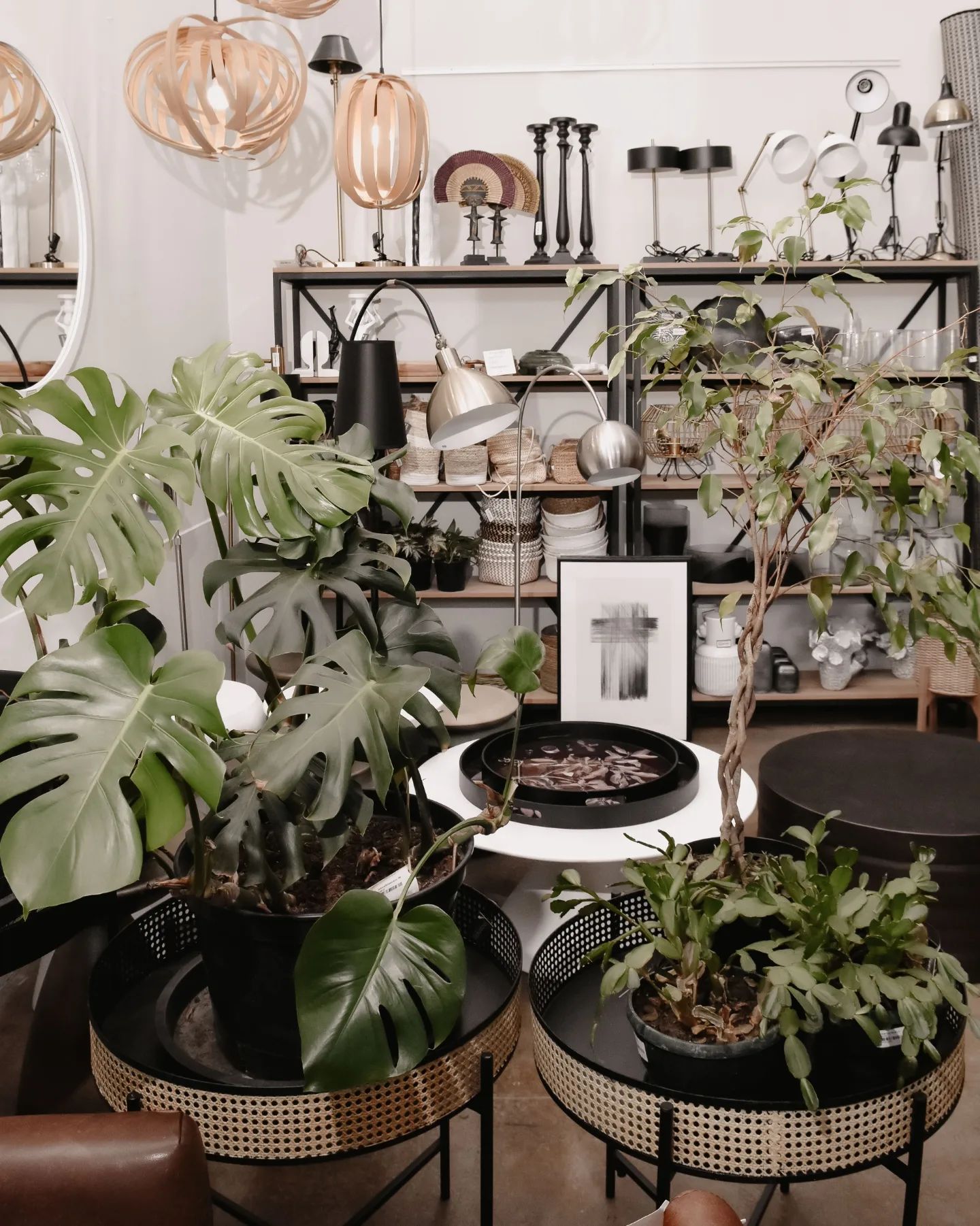 Design & Decor Sales Now On! - SA Decor & Design