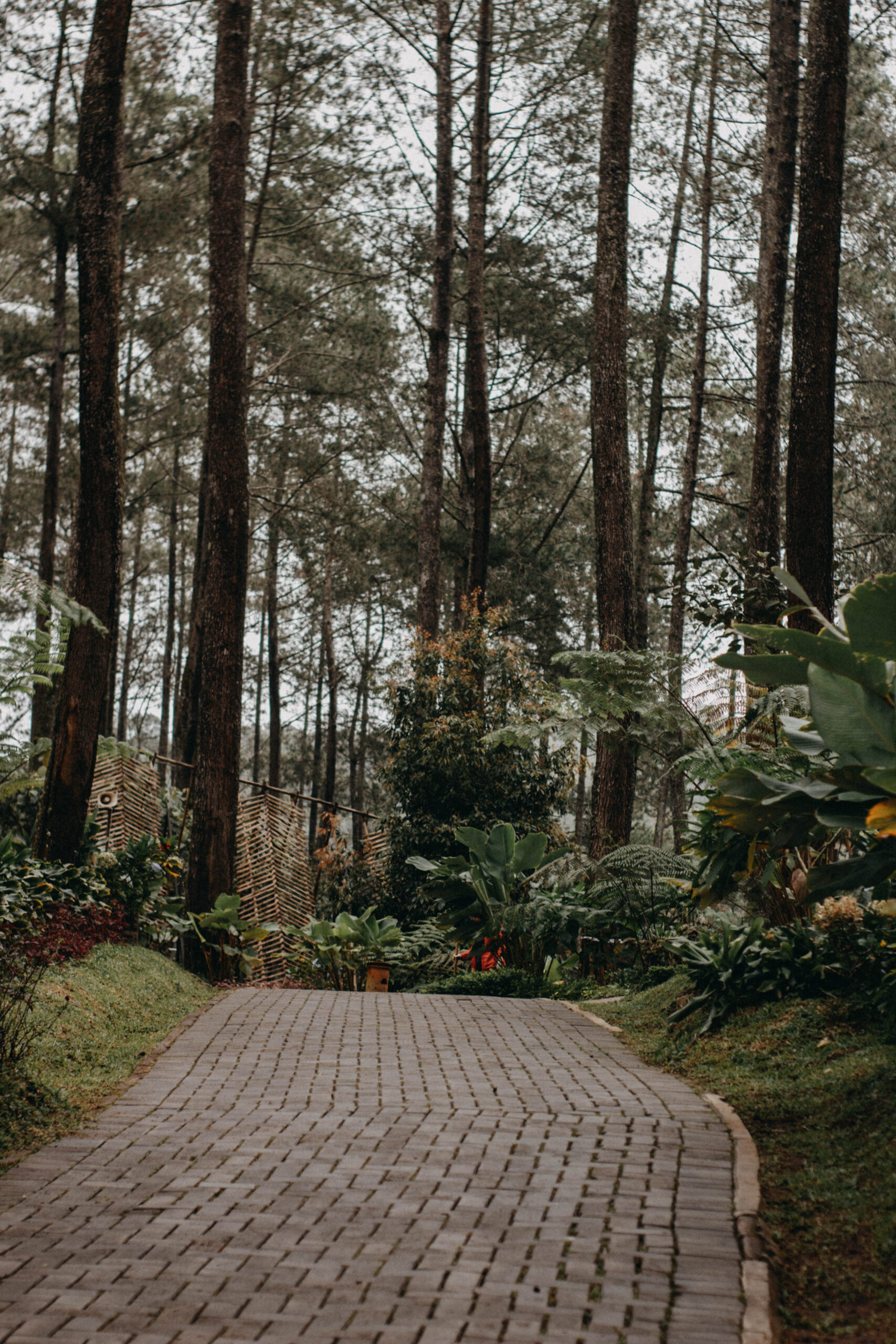 Clay Brick: A Quick Guide To Brick Pathways - SA Decor & Design