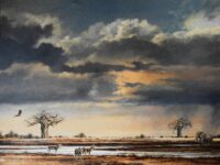 The Platform Gallery - SA Decor & Design