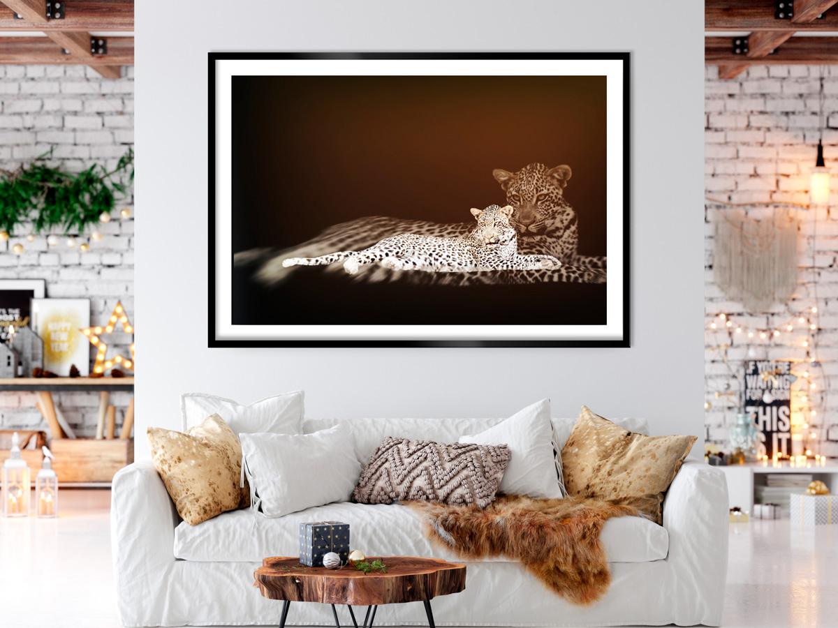 Creative Abstract Photography by Pietro Pazzi - SA Decor & Design