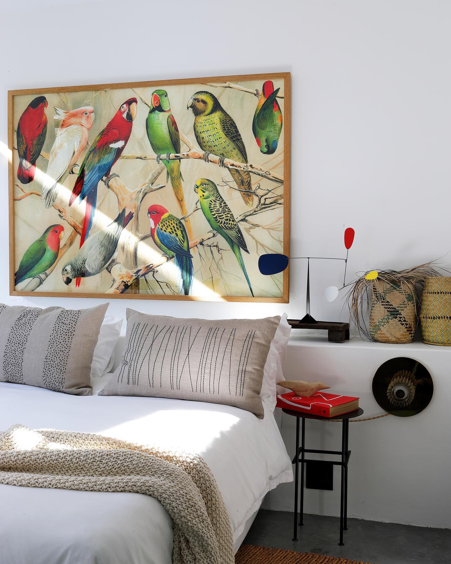 Perfect Hideaways: Parrot House - SA Decor & Design