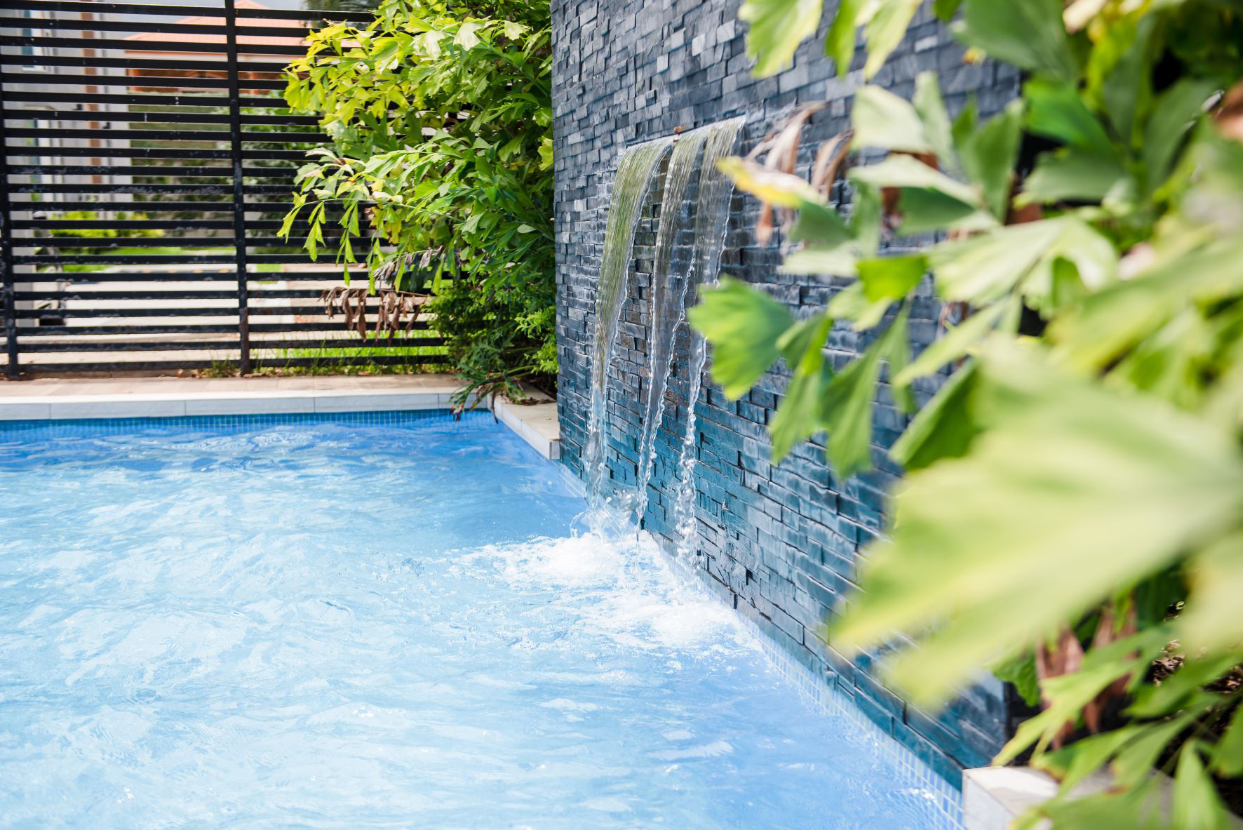 Complete Your Luxury Home With A Plunge Pool - SA Decor & Design