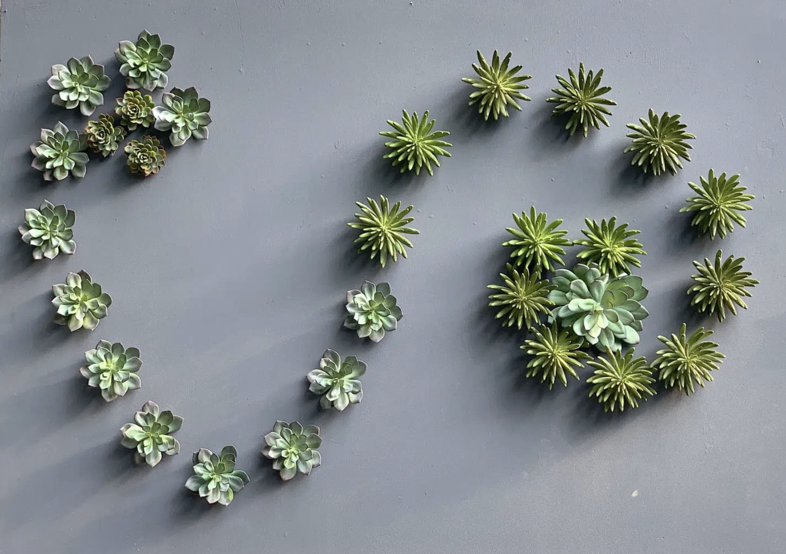 Distinctive Spaces - SA Decor & Design