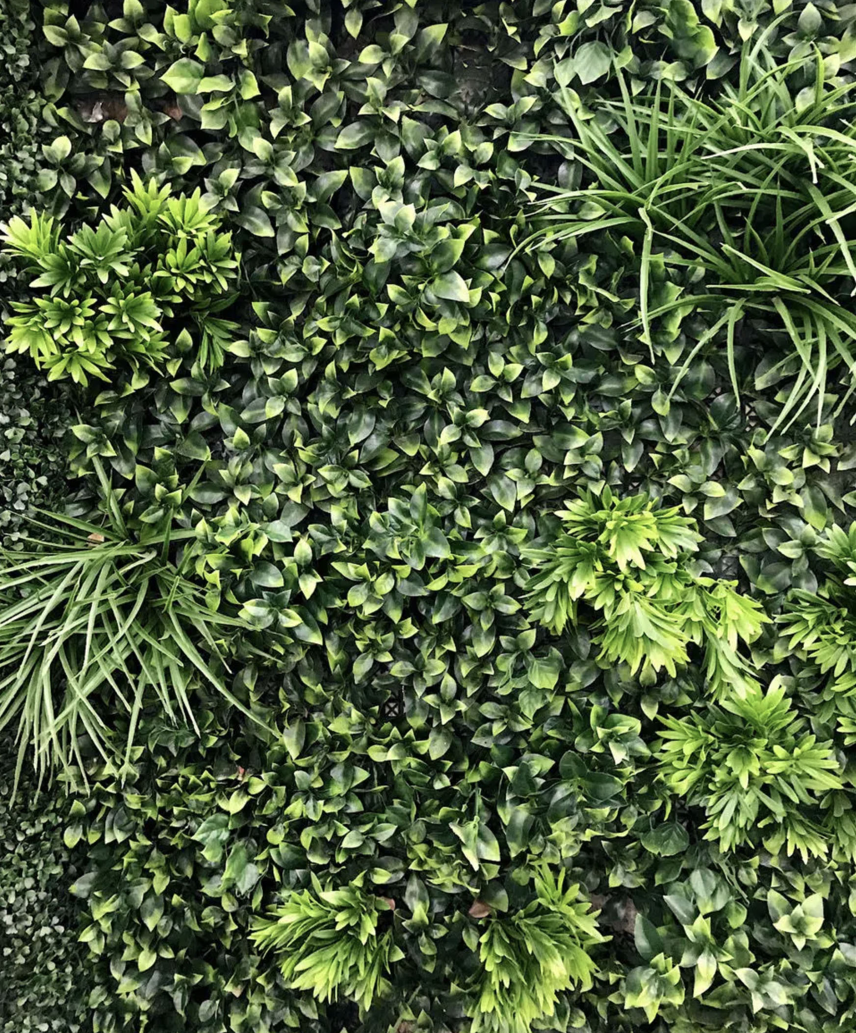 Distinctive Spaces - SA Decor & Design