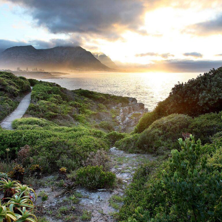 Perfect Hideaways: The Blue Anchor, Hermanus - SA Decor & Design