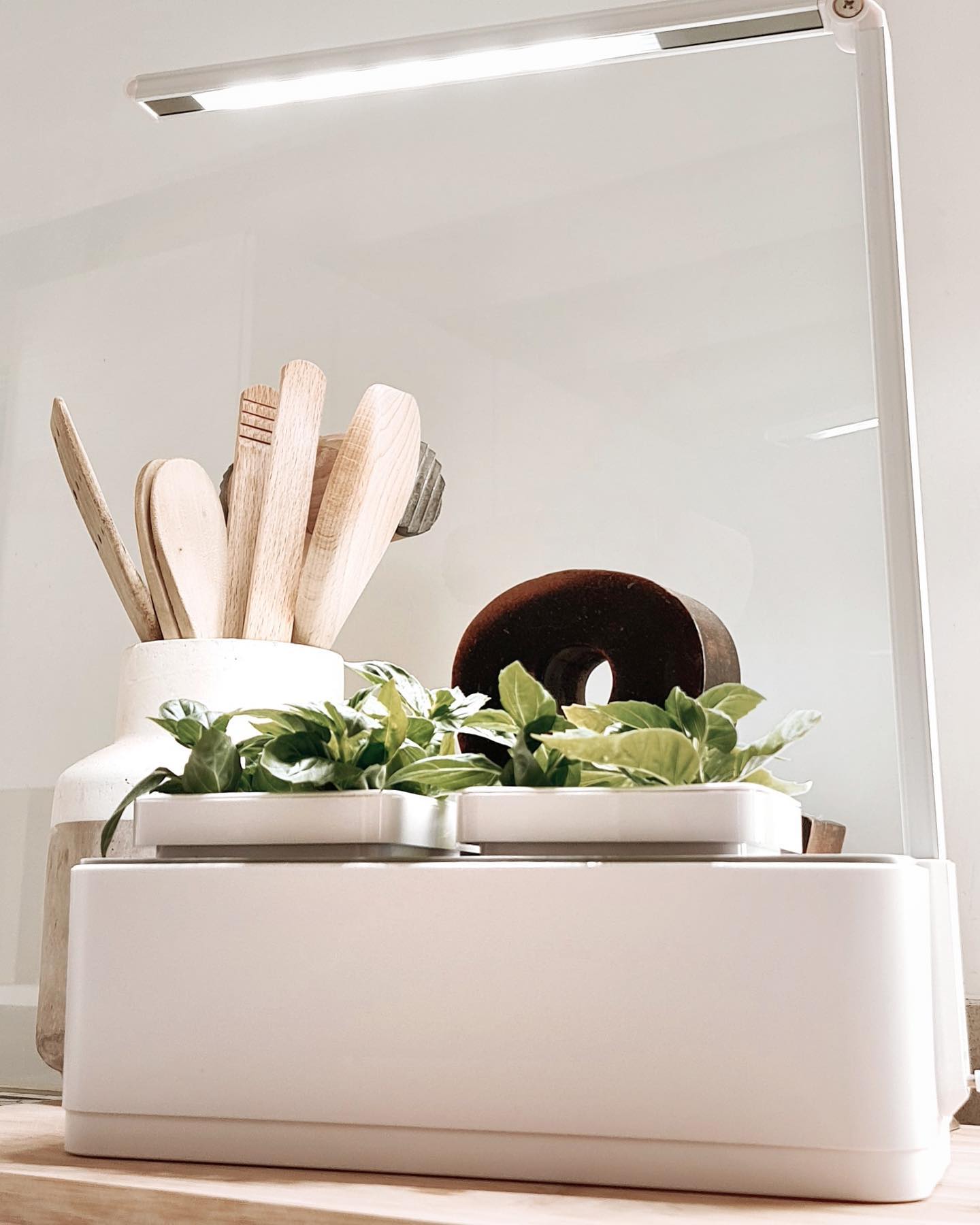 Microgarden - SA Decor & Design