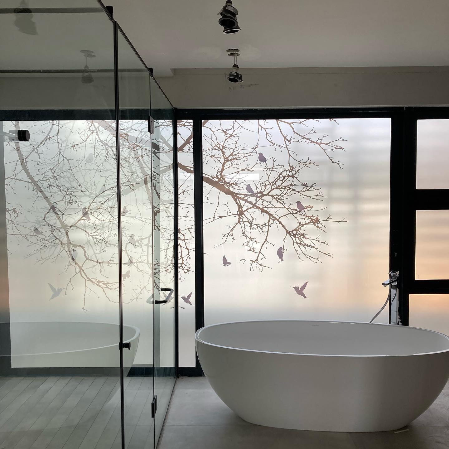 Froston: tinted or frosted window - SA Decor & Design