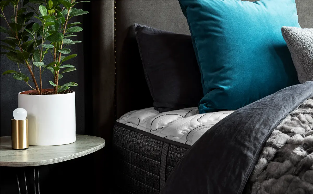 Sealy Crown Jewel: Sleep like royalty - SA Decor & Design