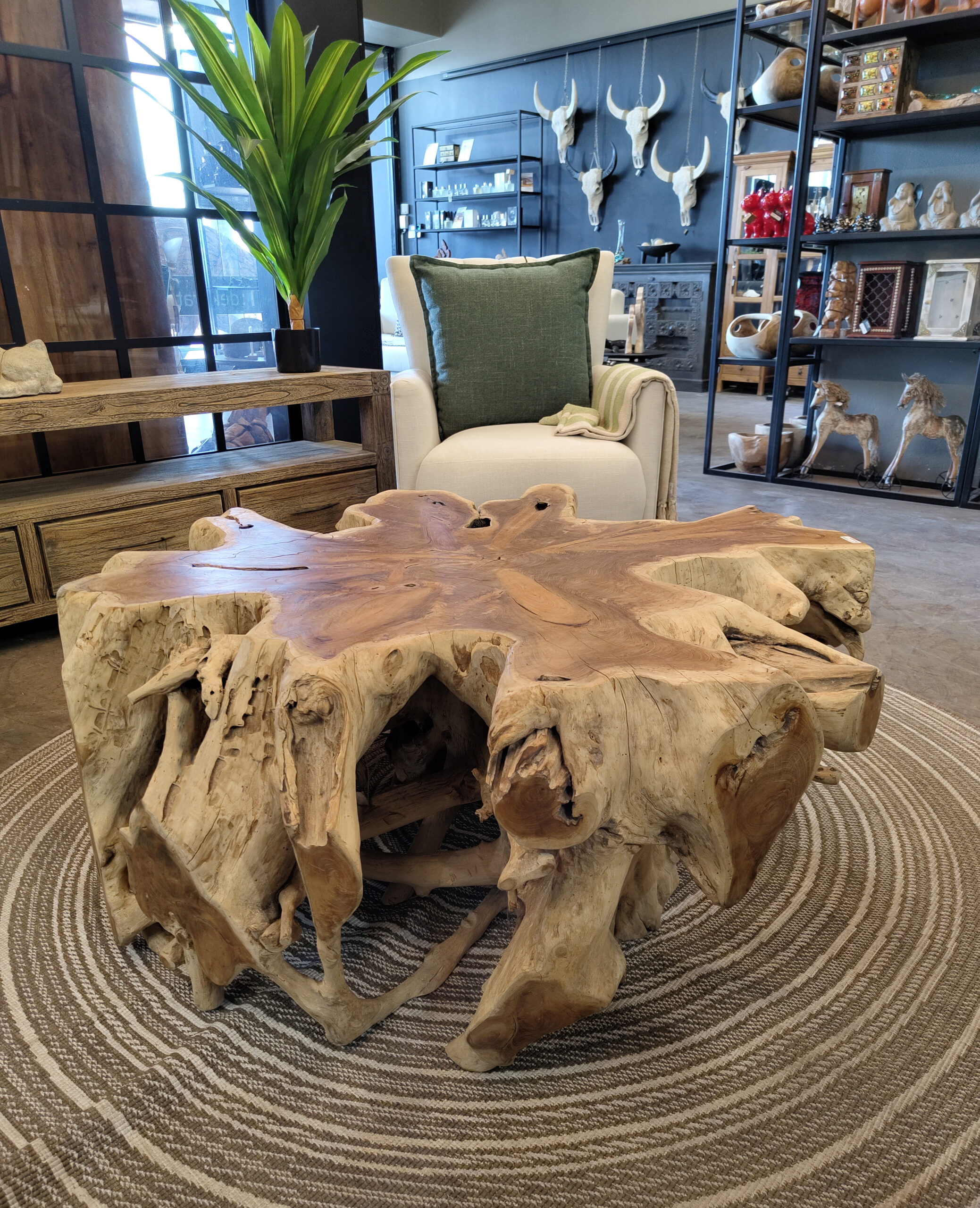 Sotran Dekorativ: The Beauty of Tree Root Furniture - SA Decor & Design