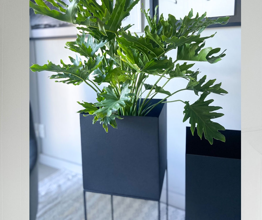 Standing Cube Planters - Wall Spaces - SA Decor & Design