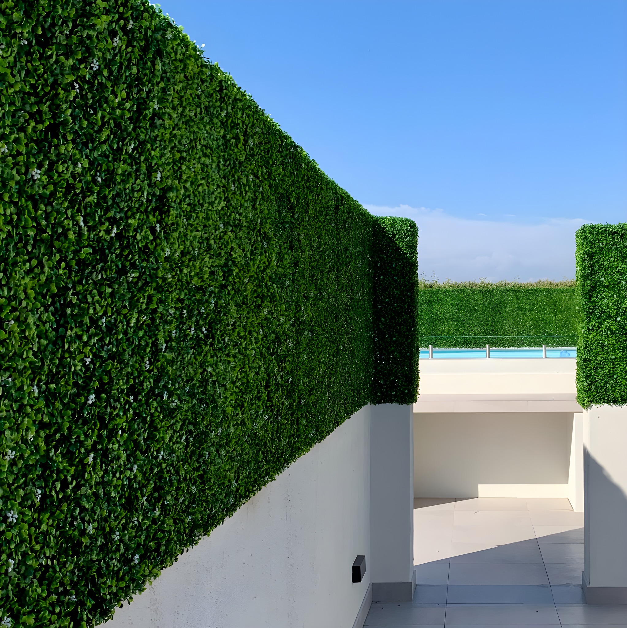 Easy Ivy: Step Into A Green Haven with Privacy screens and Hedge boxes ...