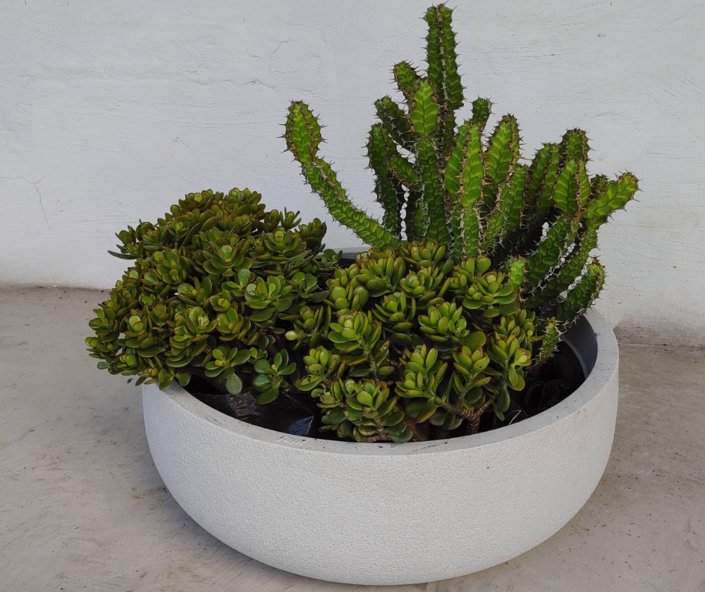 Rustic Japi Bowl - Florastyle - SA Decor & Design