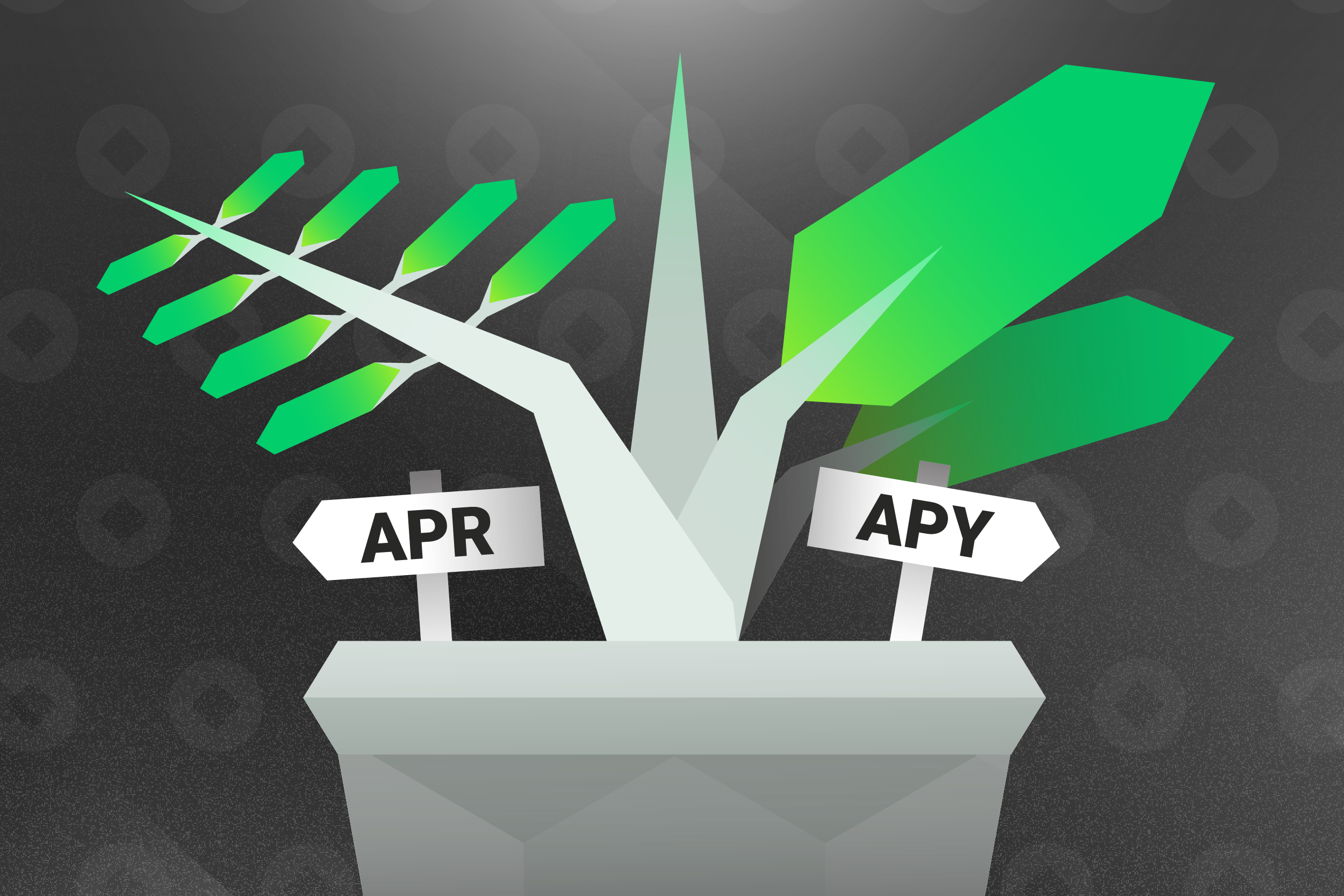 APR vs. APY: Similarities and Differences | Bitkub Academy