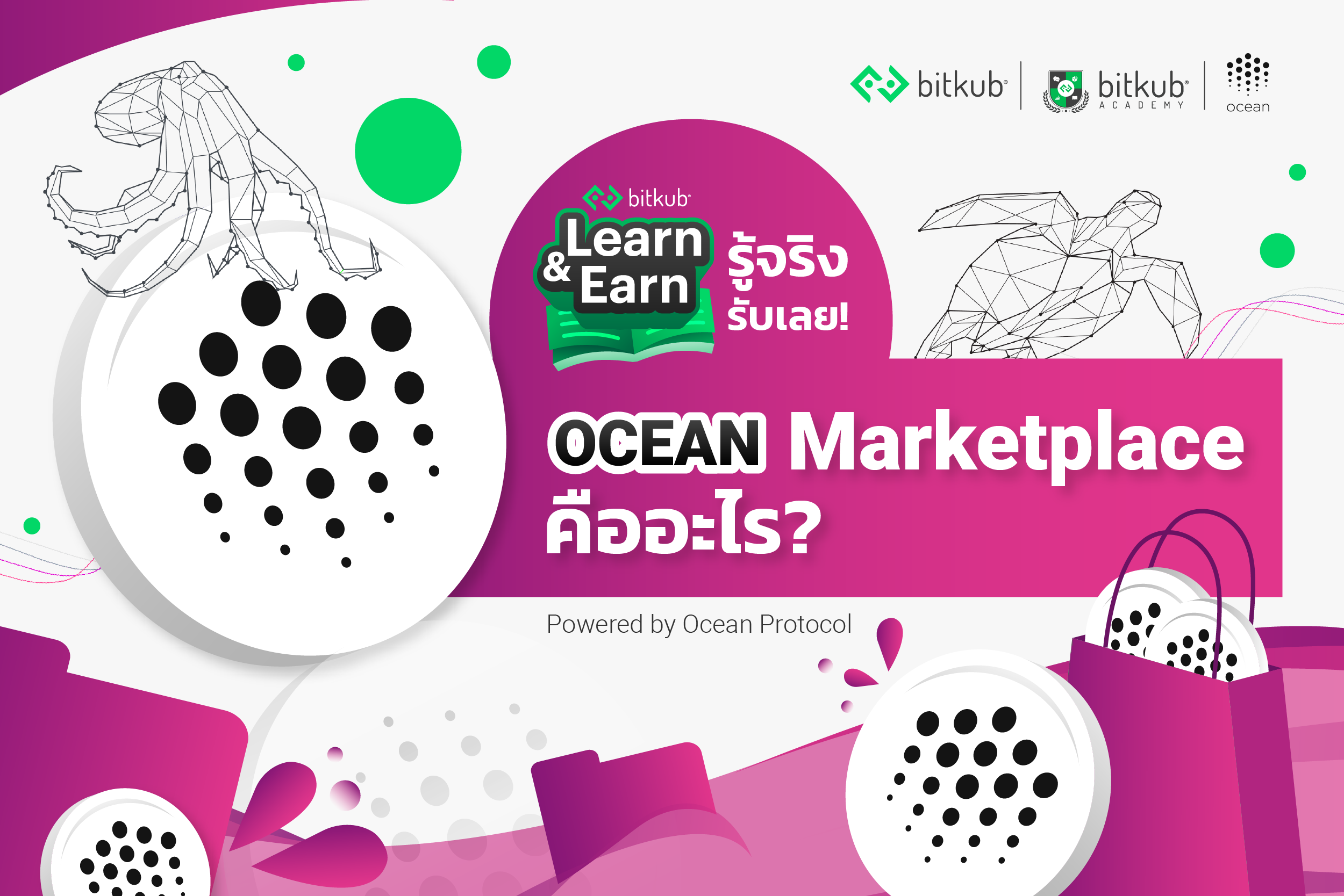 What is Ocean Marketplace? | Bitkub Academy