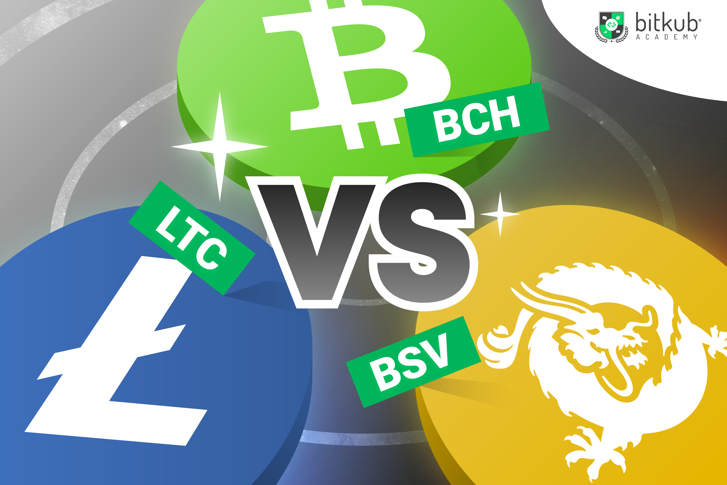 LTC v.s. BCH v.s. BSV | Bitkub Academy