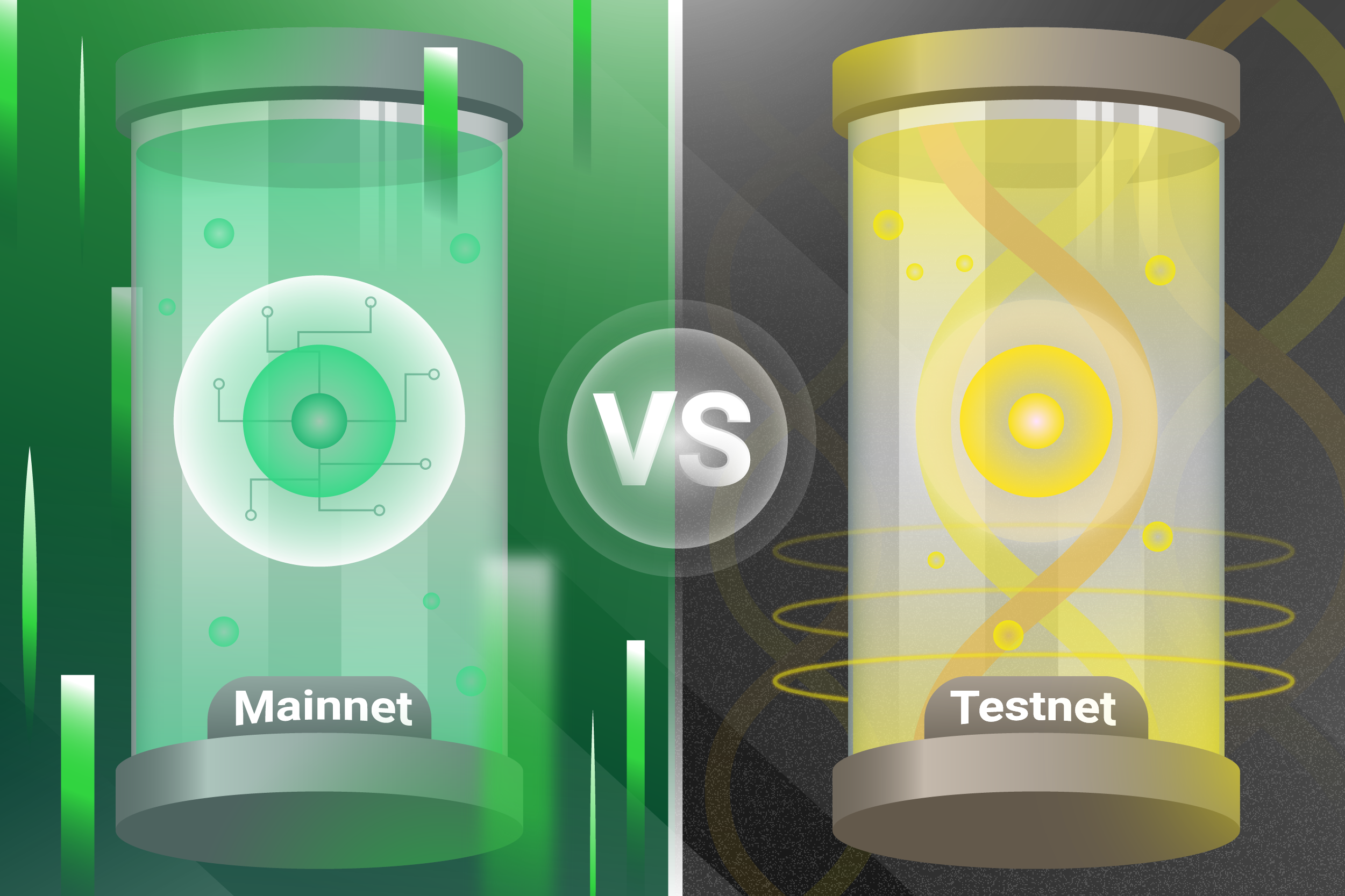 Mainnet vs. Testnet | Bitkub Academy