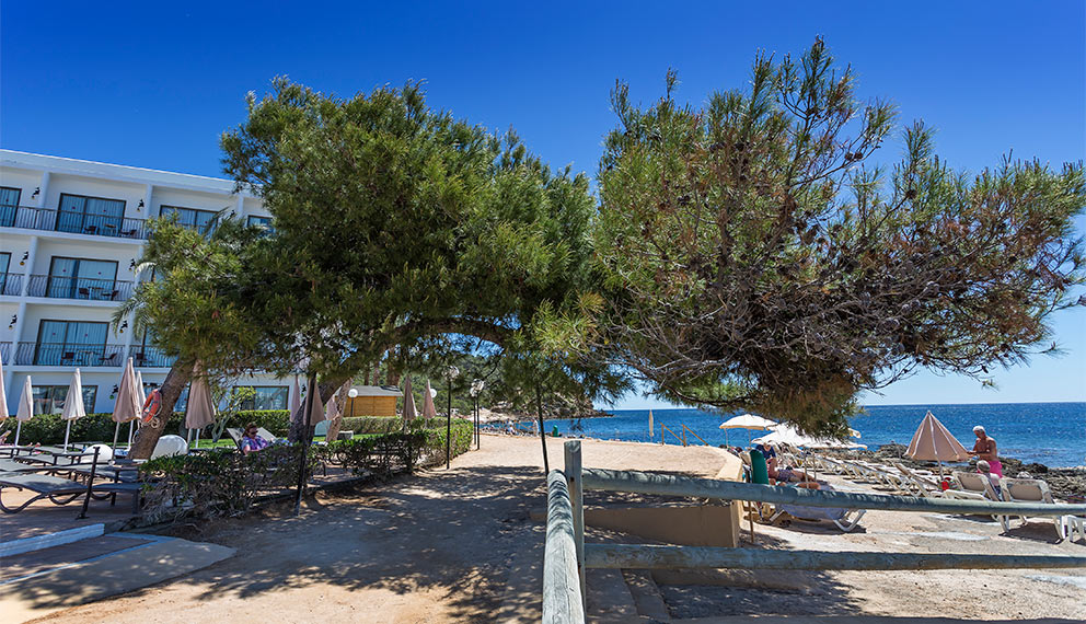 Catalonia Ses Estaques - Adults Only Hotel - OFFICIAL WEBSITE ...