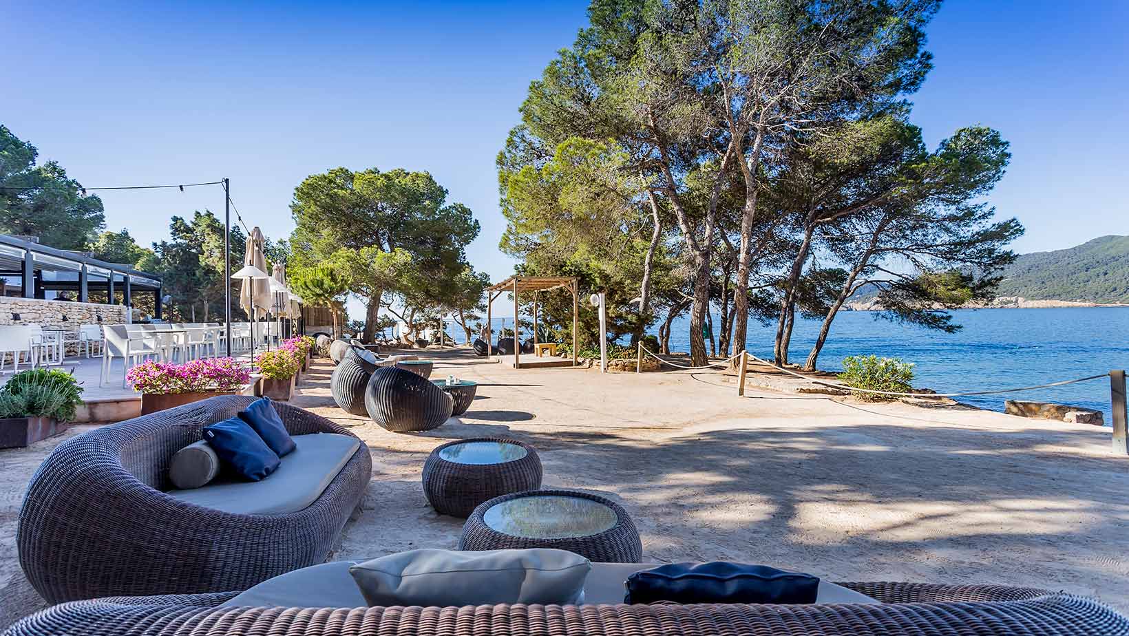 Hotel Catalonia Ses Estaques (Adults Only) - WEB OFICIAL - Catalonia ...