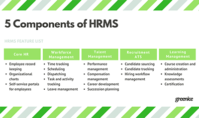 Human Resources Management System: a Custom Solution