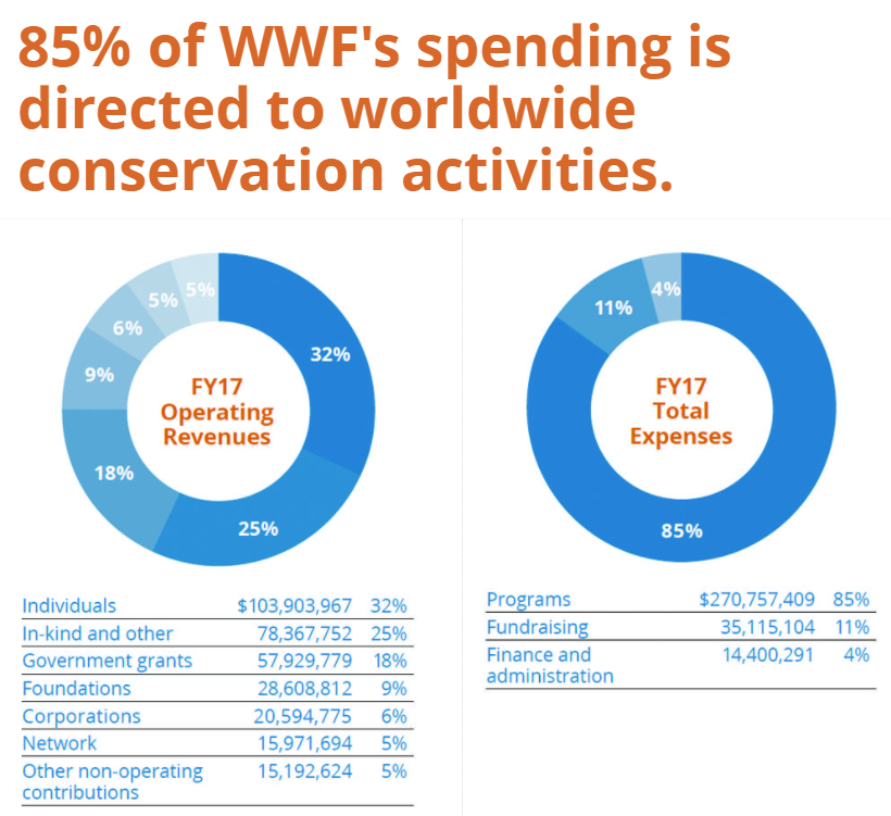 How to Build a Charity Website for NGO - Greenice
