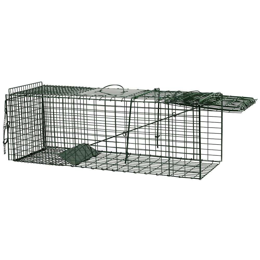 Animal trap large zinc plated / green powder coating | Animal traps ...