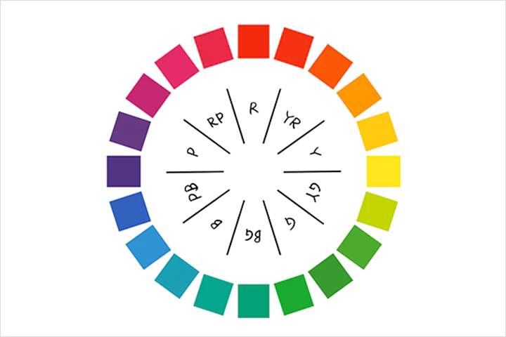 イラストレーター champi | コロソ.