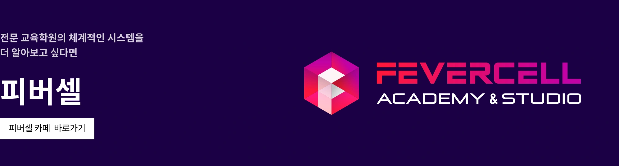 피버셀 아카데미&스튜디오 | 콜로소 파트너스 | Coloso.