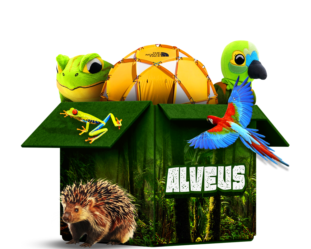 Alveus - Mystery Box