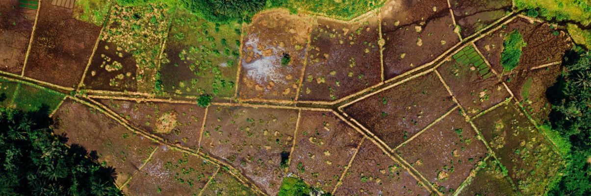 Finca Rústica: qué es y las ventajas de vivir en ella