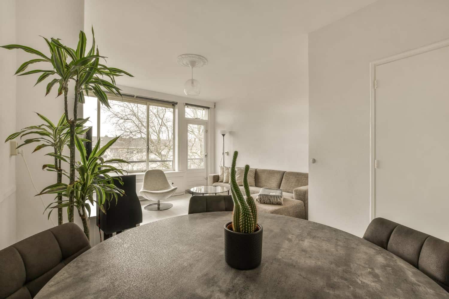 Ideas para modernizar el gotelé de tu vivienda
