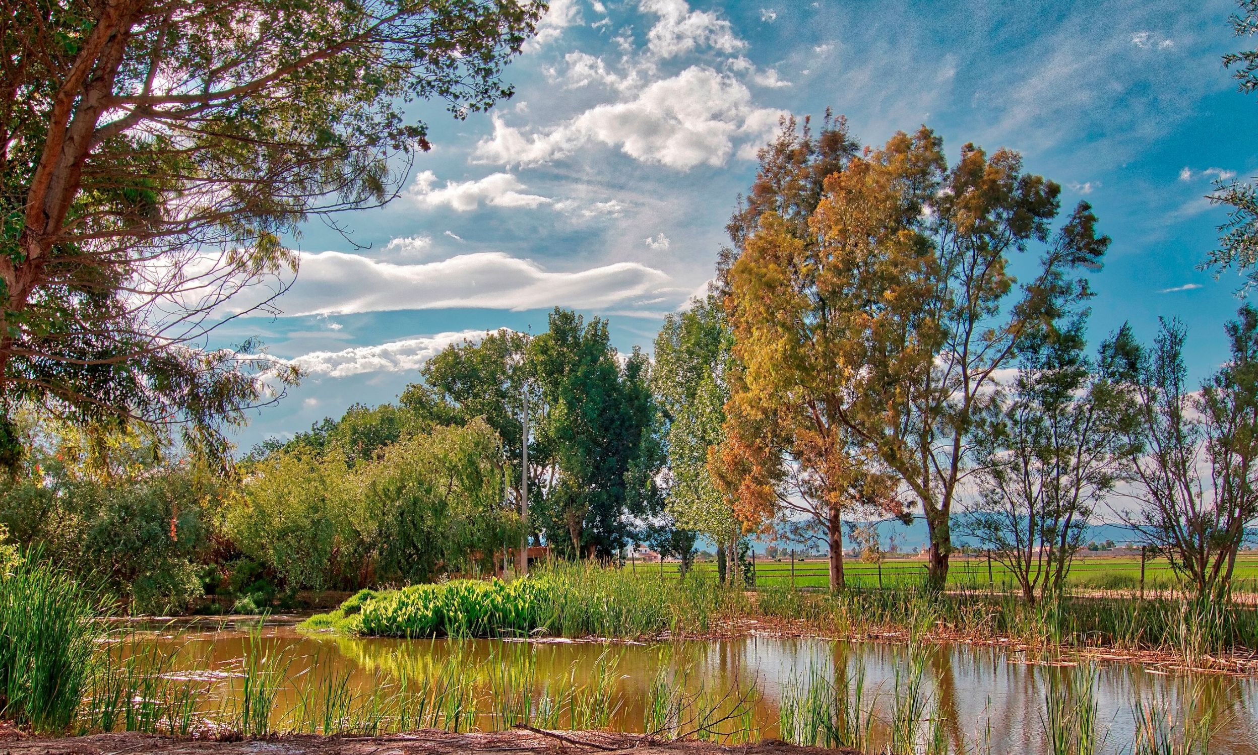Bienvenidos al Delta del Ebro